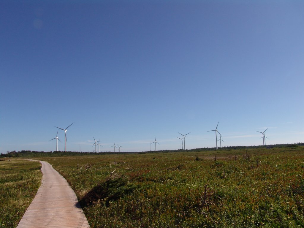 J. Anthony Fitzgerald